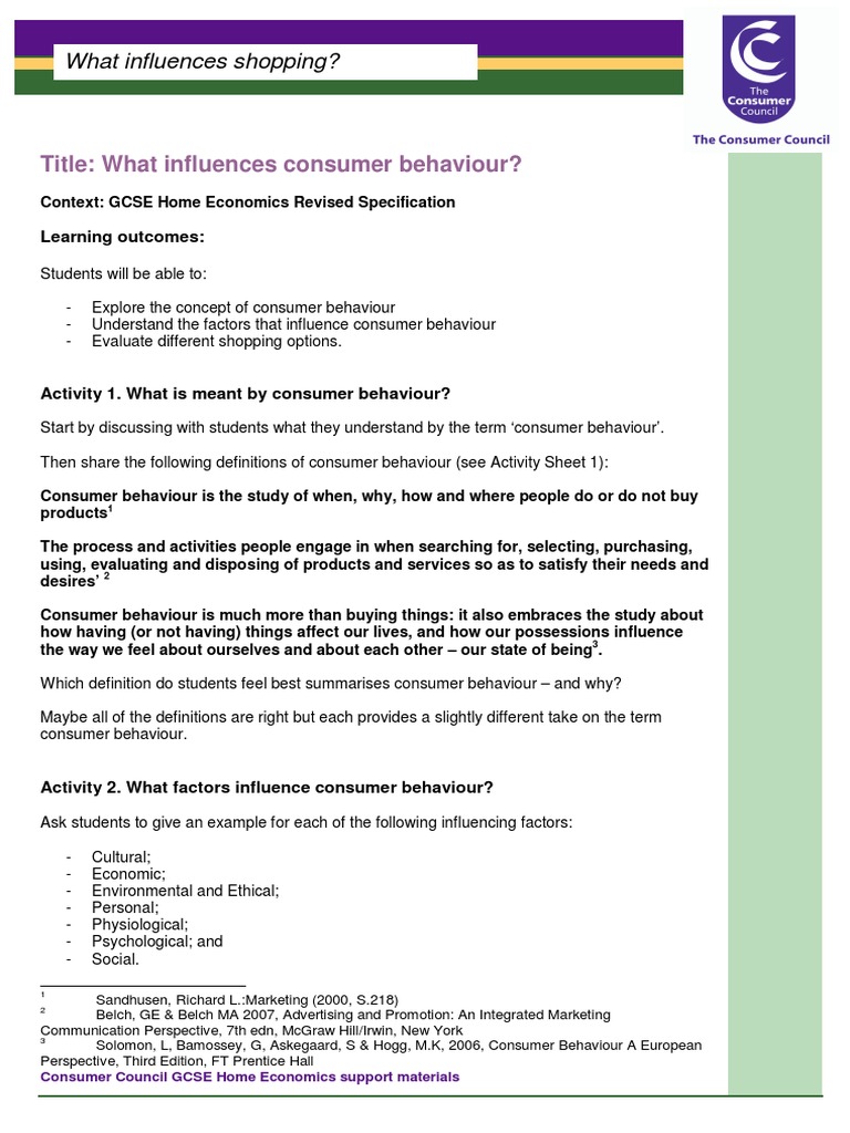 What Influences Shopping Lesson Plan PDF | PDF | Consumer Behaviour ...