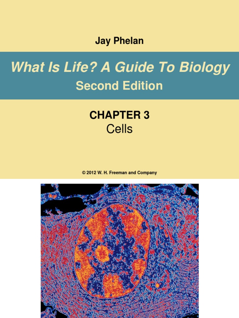 What Is Life? A Guide To Biology: Second Edition | PDF | Biophysics | Lipid