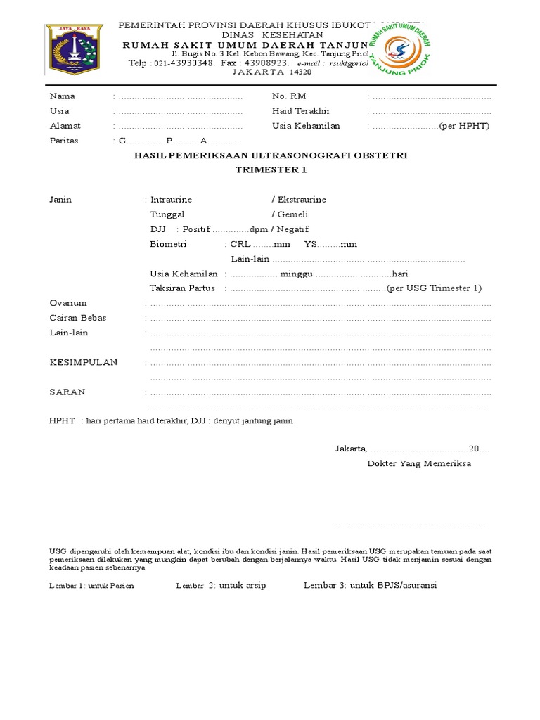Hasil Pemeriksaan Usg Trimester 1 | PDF