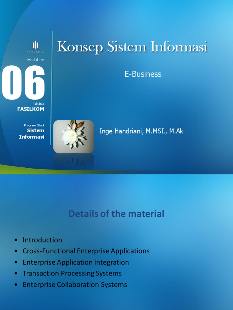 KSI e Business | PDF | Enterprise Resource Planning | E Commerce