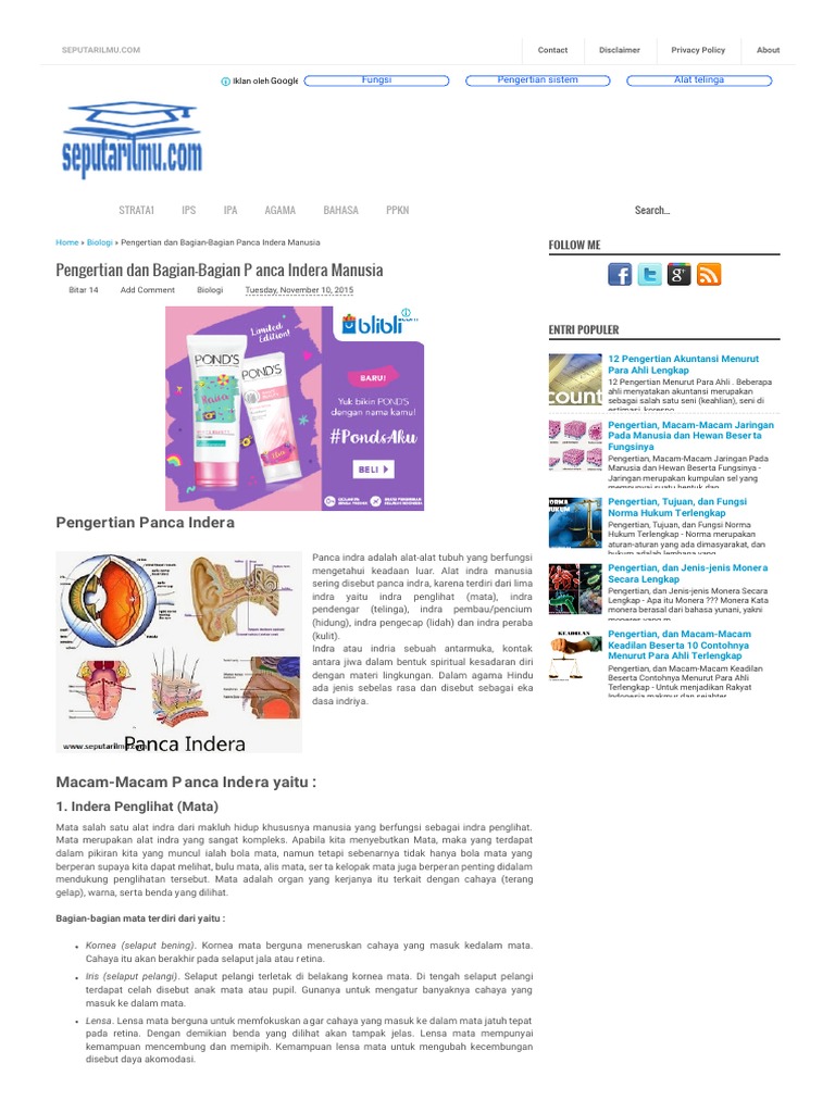 Pengertian Dan Bagian-Bagian Panca Indera Manusia | PDF Pengertian Dan Bagian-Bagian Panca Indera Manusia | PDF