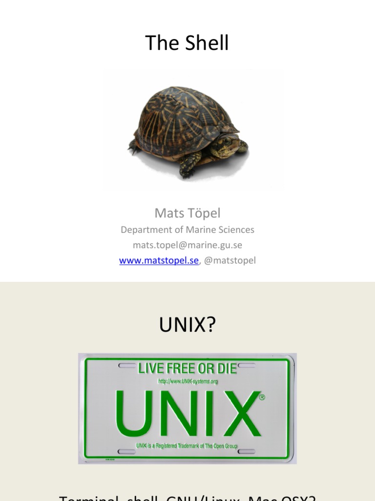 The Shell and Filesystem | PDF | Command Line Interface | Graphical ...