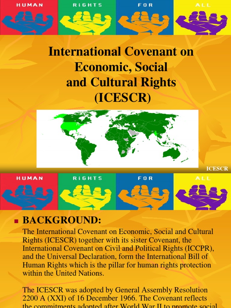 International Covenant On Economic, Social and Cultural Rights (Icescr ...