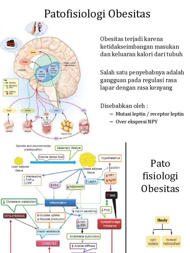Patofisiologi Obesitas dan Penyebabnya | PDF | Kesehatan Holistik ...