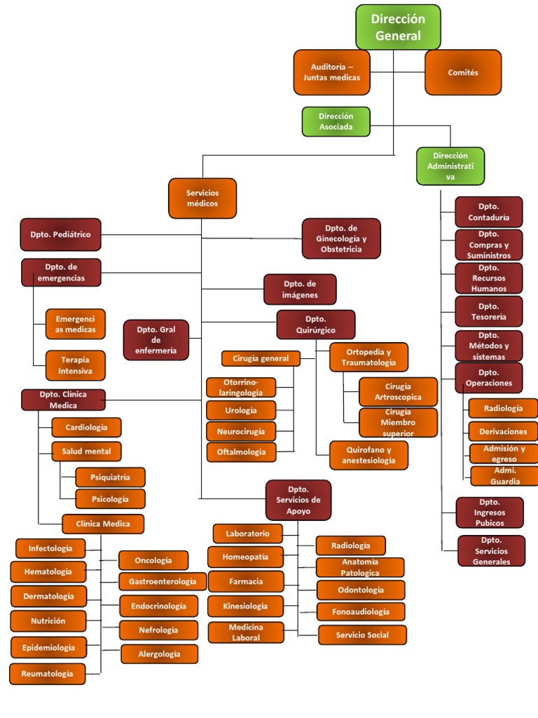 Organigrama Vertical | PDF | Medicina CLINICA | Cuidado de la salud