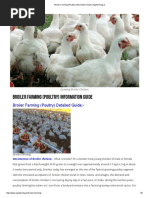 Poultry House Construction | PDF | Poultry Farming | Birds