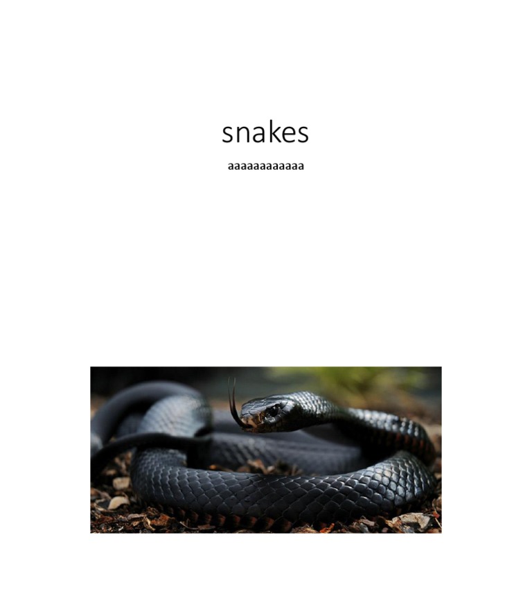 Snakes | PDF