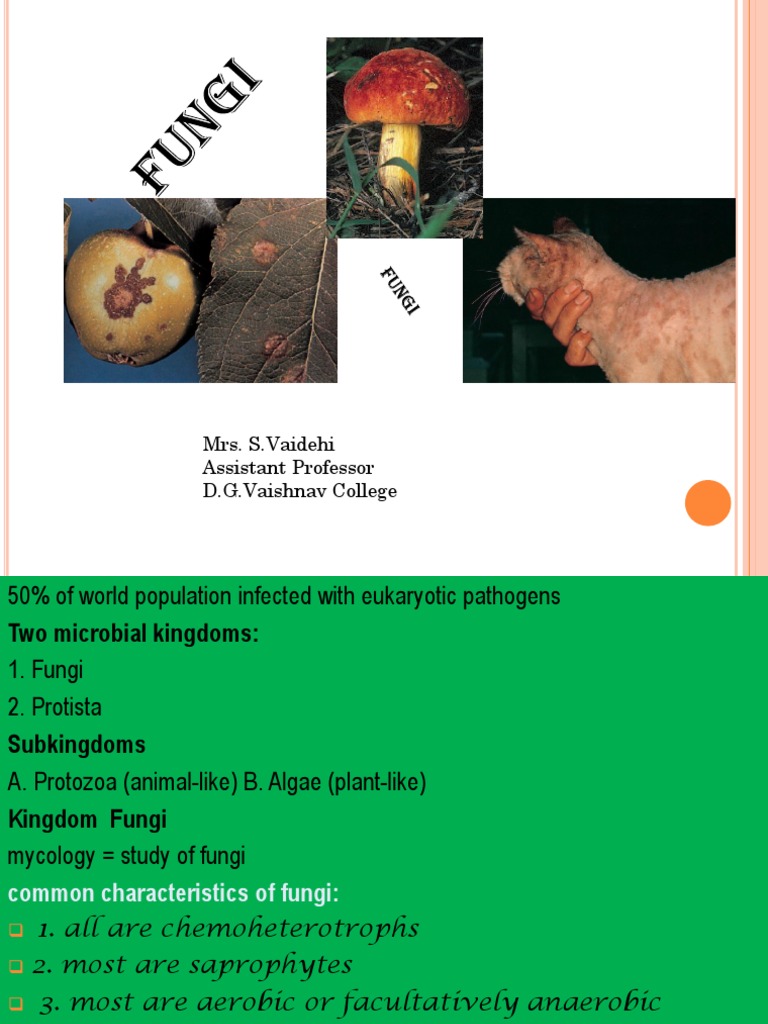 Mrs. S.Vaidehi Assistant Professor D.G.Vaishnav College | PDF | Spore ...