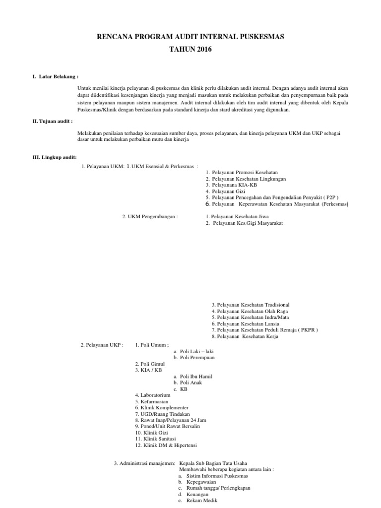 Rencana Program Audit Internal Puskesmas | PDF