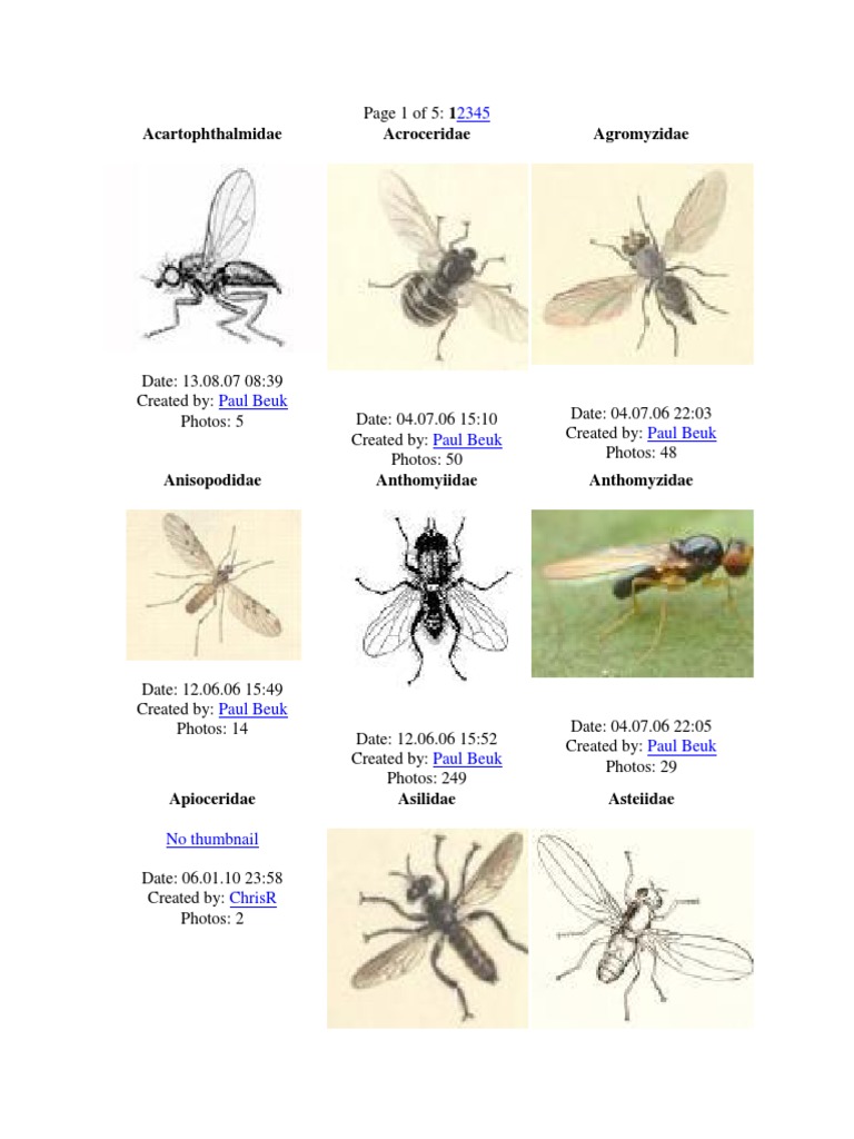 Acartophthalmidae Acroceridae Agromyzidae | PDF | Nature | Nature
