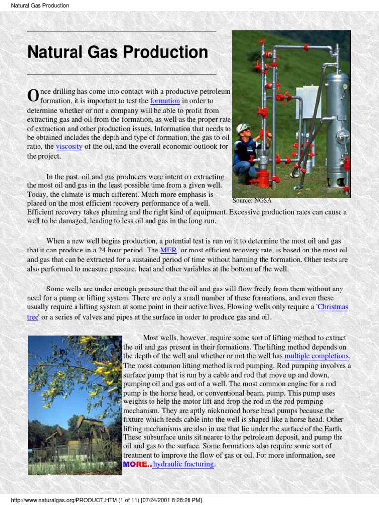 Natural Gas | PDF | Natural Gas Processing | Natural Gas