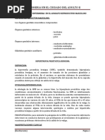 Posición Genupectoral | PDF