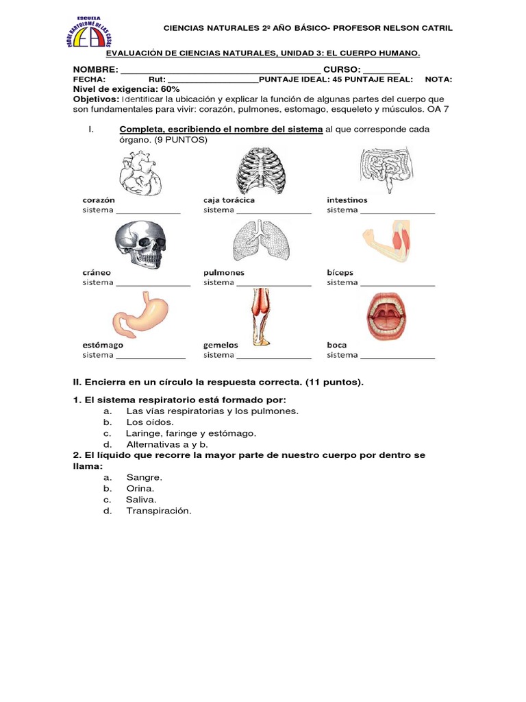 Evaluación de Ciencias Naturales Unidad 3 El Cuerpo Humano Sistemas ...