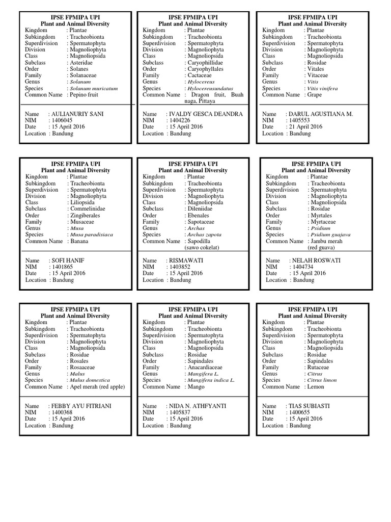 Buah Awetan Basah | PDF | Vitis | Taxa