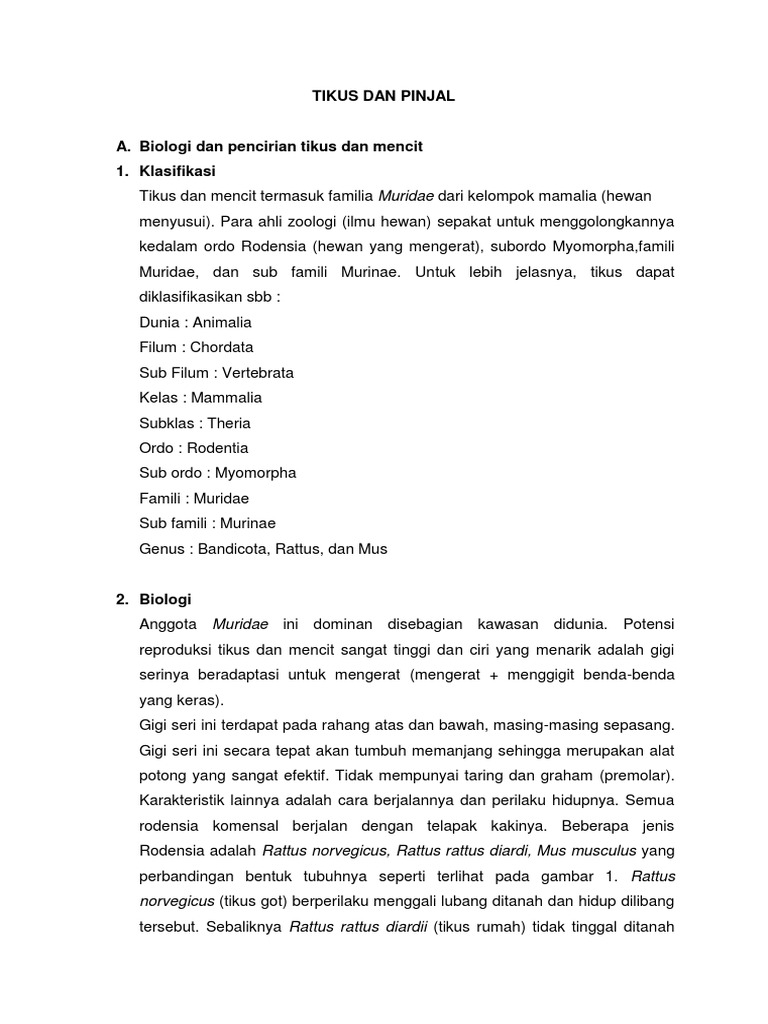 Tikus Dan Pinjal | PDF