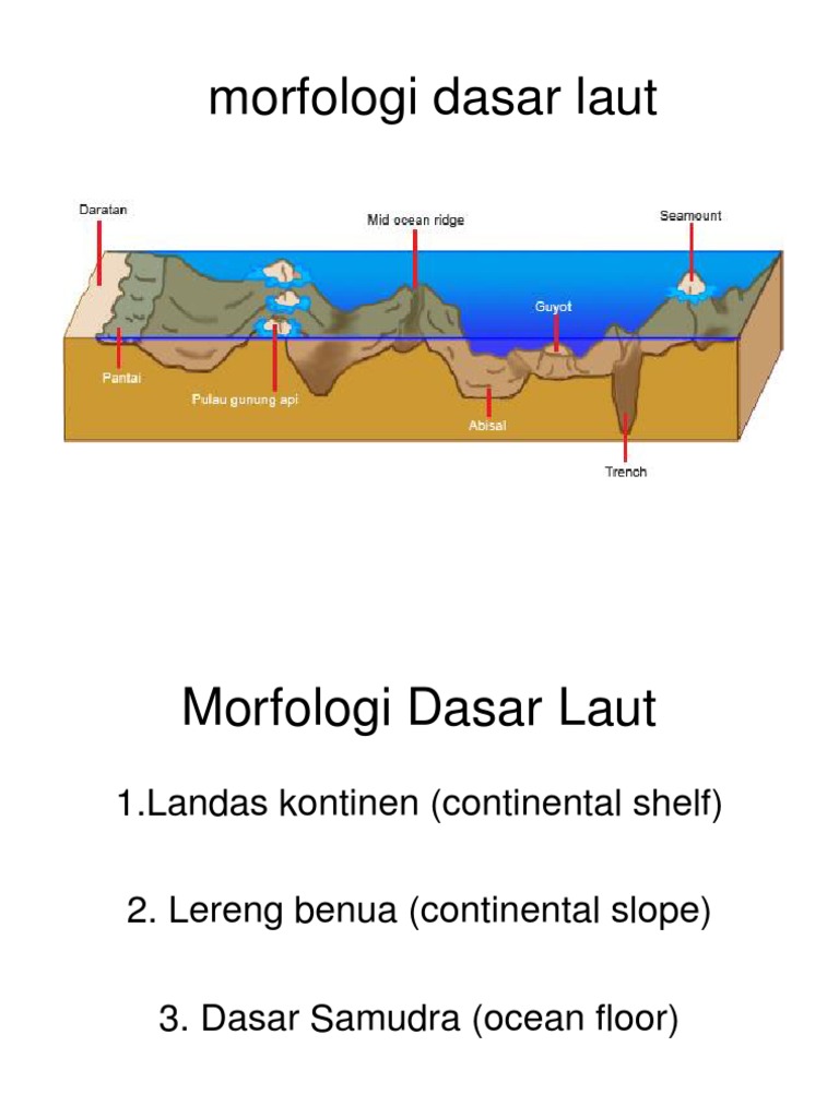 Morfologi Dasar Laut Indonesia | PDF