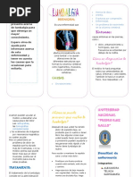 Tríptico de Cáncer de Próstata. | PDF | Cancer de prostata | Cáncer