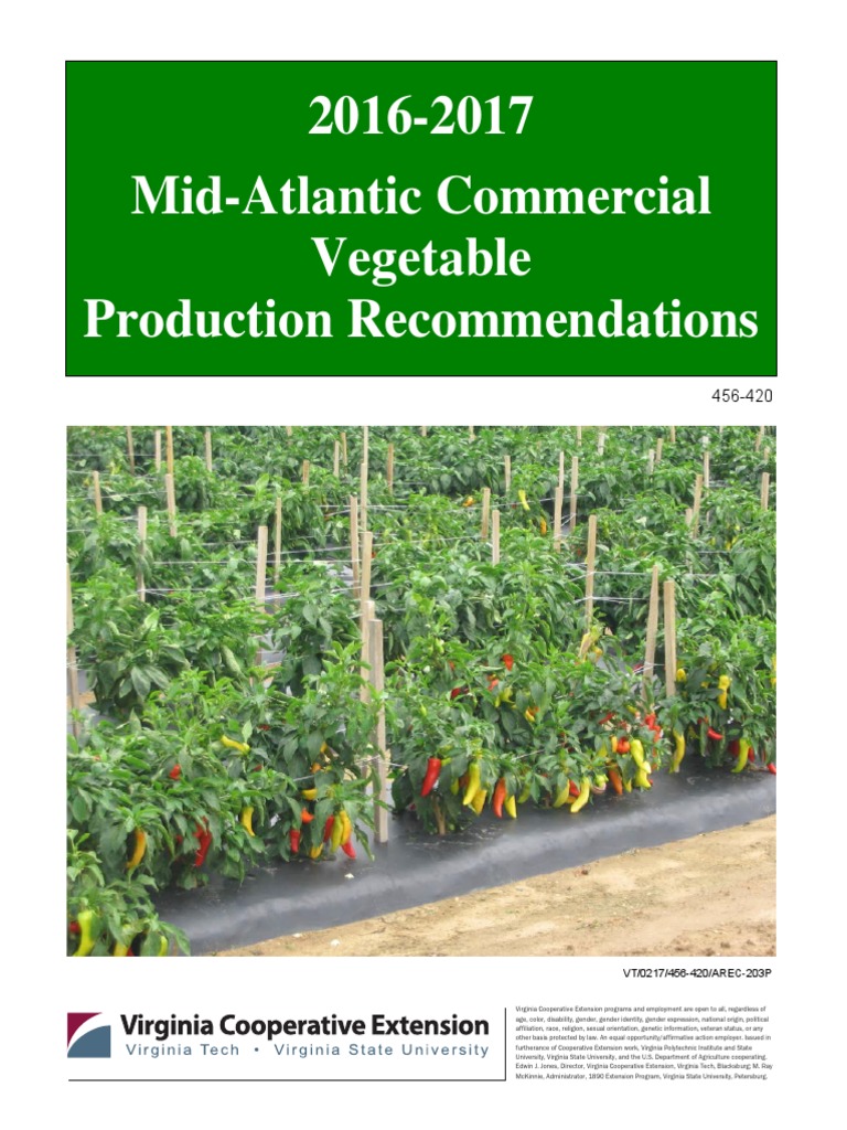 Commercial Vegetable Production | PDF | Onion | Scallion