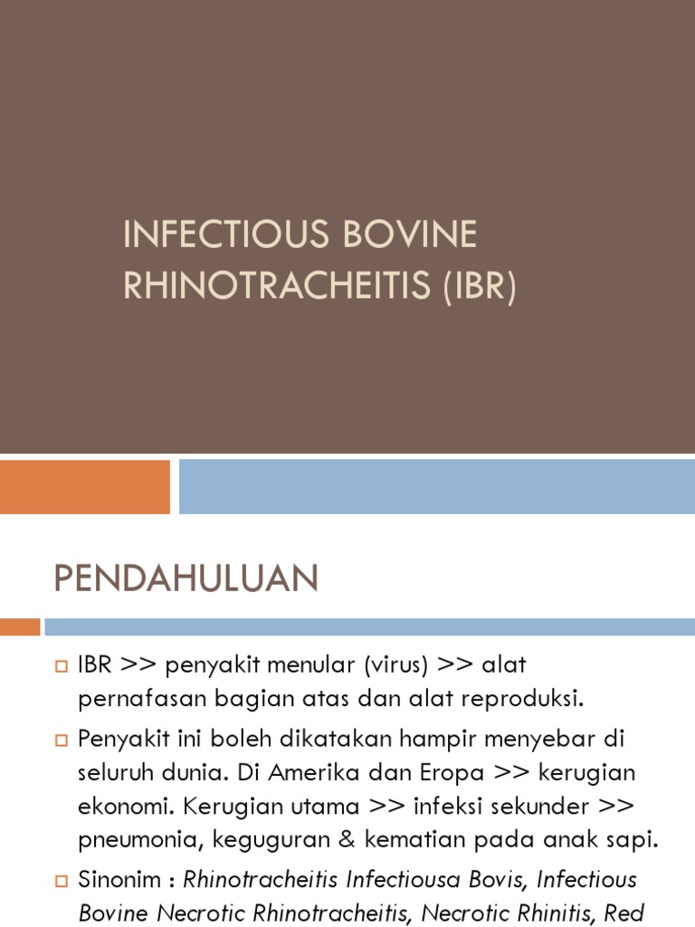 Infectious Bovine Rhinotracheitis (Ibr) | PDF