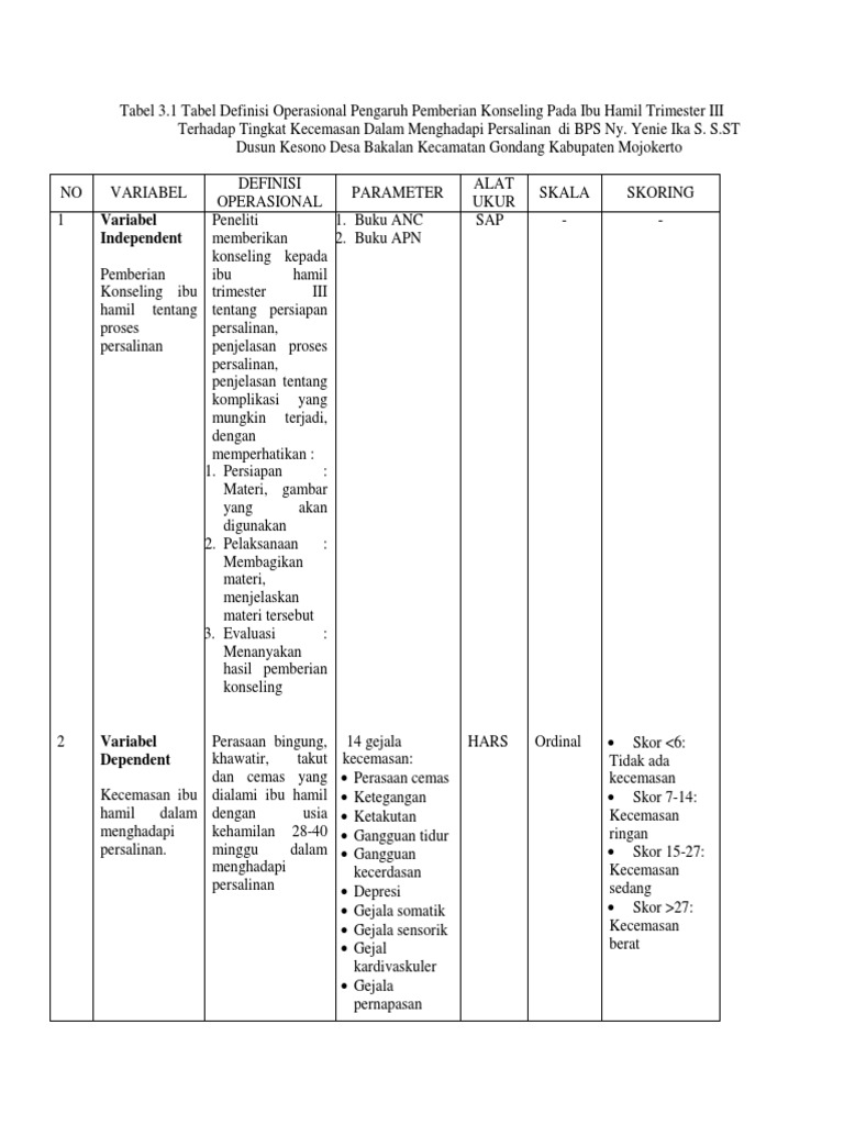 Definisi Operasional | PDF
