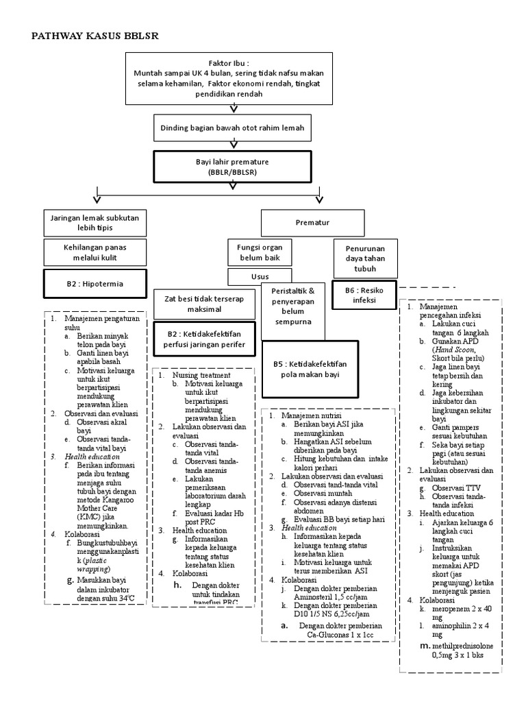 Pathway Kasus BBLSR | PDF