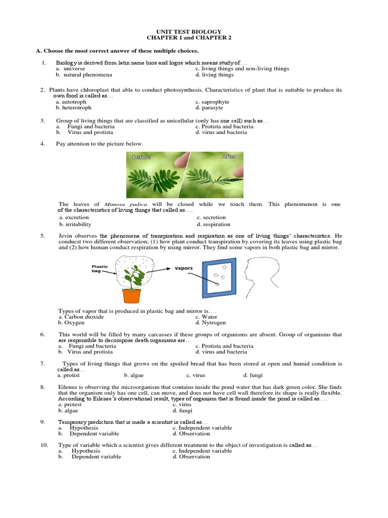 Unit Test: Living vs. Non-Living Things | PDF | Plants | Life