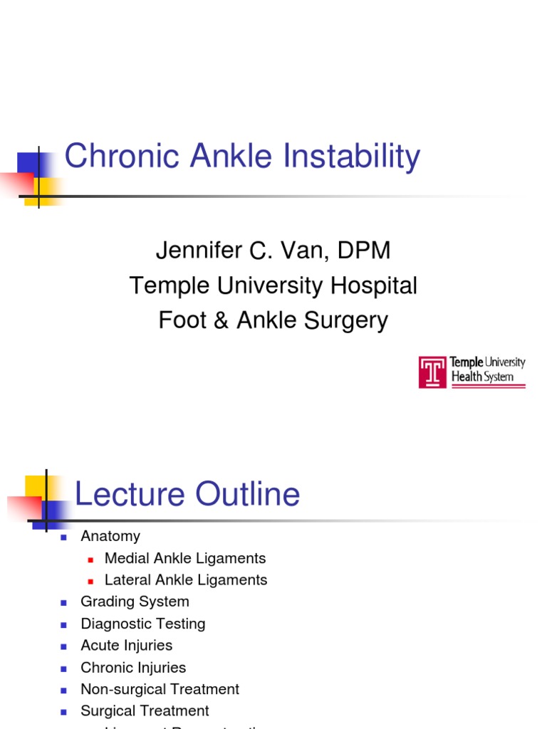 Ankle Instability 2017-2018 | Ankle | Lower Limb Anatomy