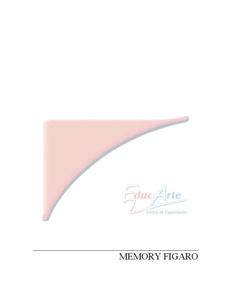 Memory Figaro - Manual | PDF | Tarjeta de crédito | Usuario (informática)