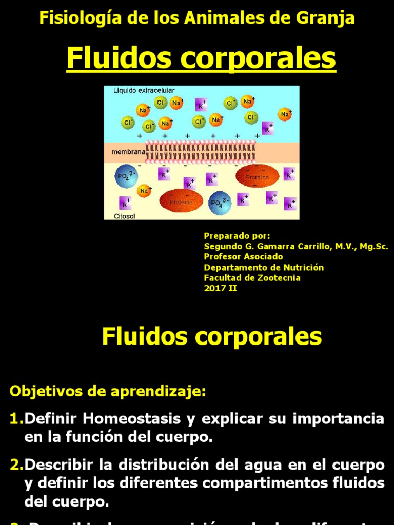 1-3 PPT Fluidos Corporales 2017 Ii | PDF | Concentración | Ósmosis
