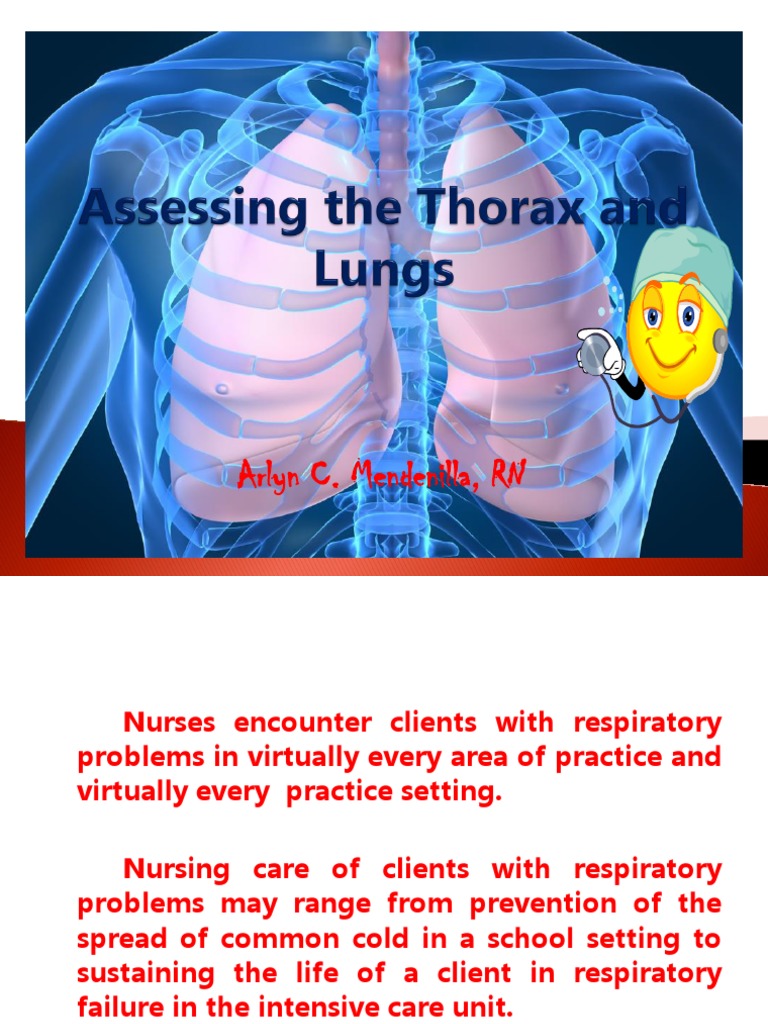 The Thorax and Lungs Assessment (Autosaved) | PDF | Thorax | Vertebral ...