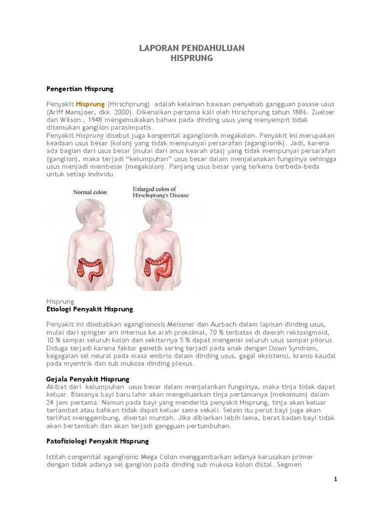 Askep Hisprung | PDF | Kesehatan Holistik