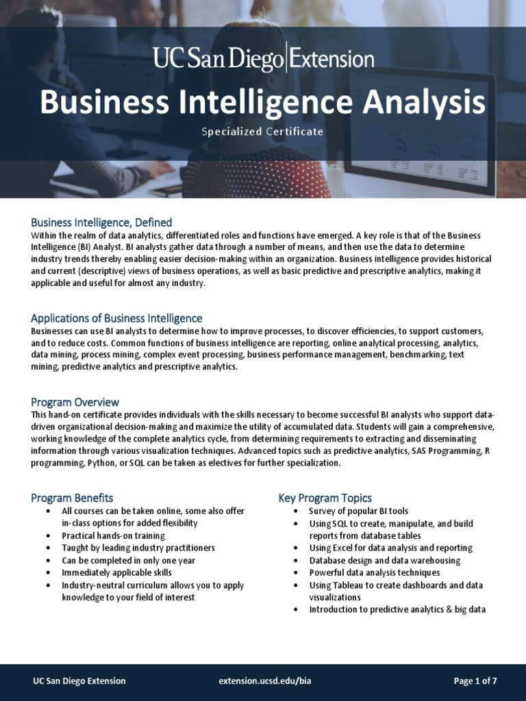Business Intelligence Analysis | PDF | Business Intelligence ...
