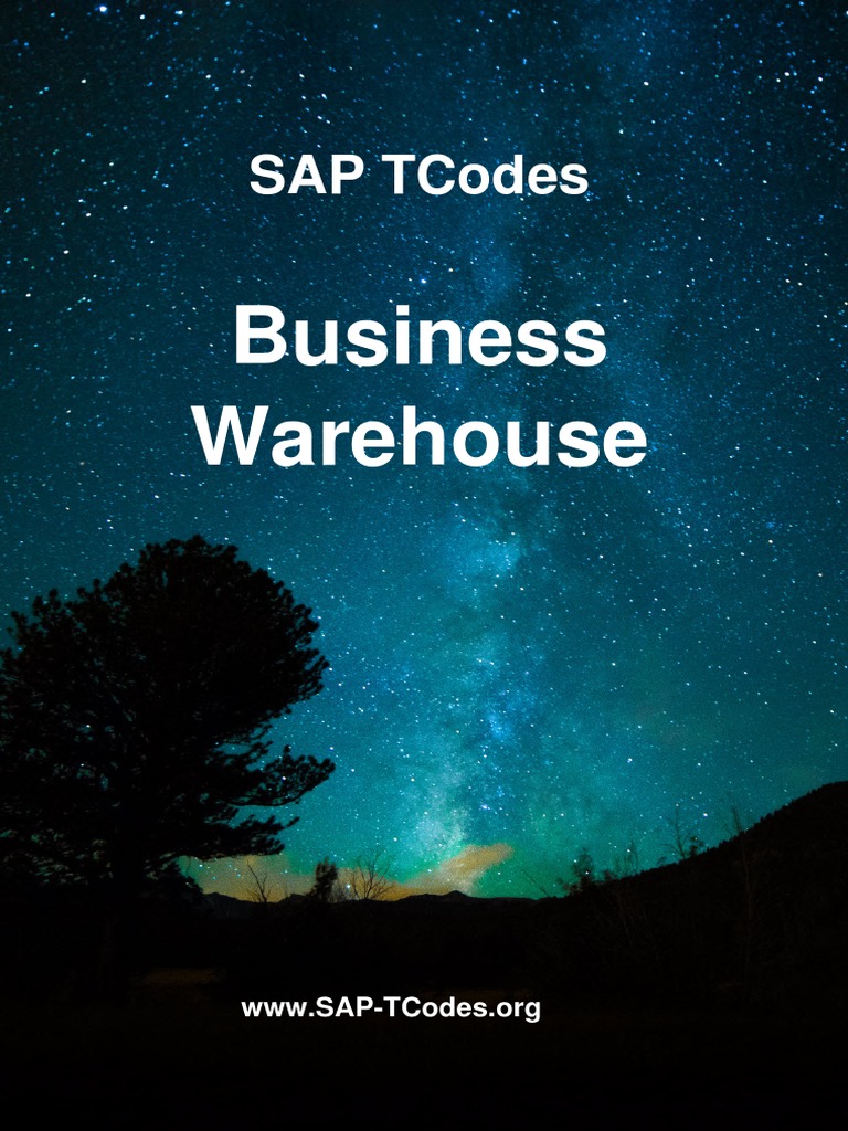 Sap Tcodes Module BW en | Download Free PDF | Computing | Business