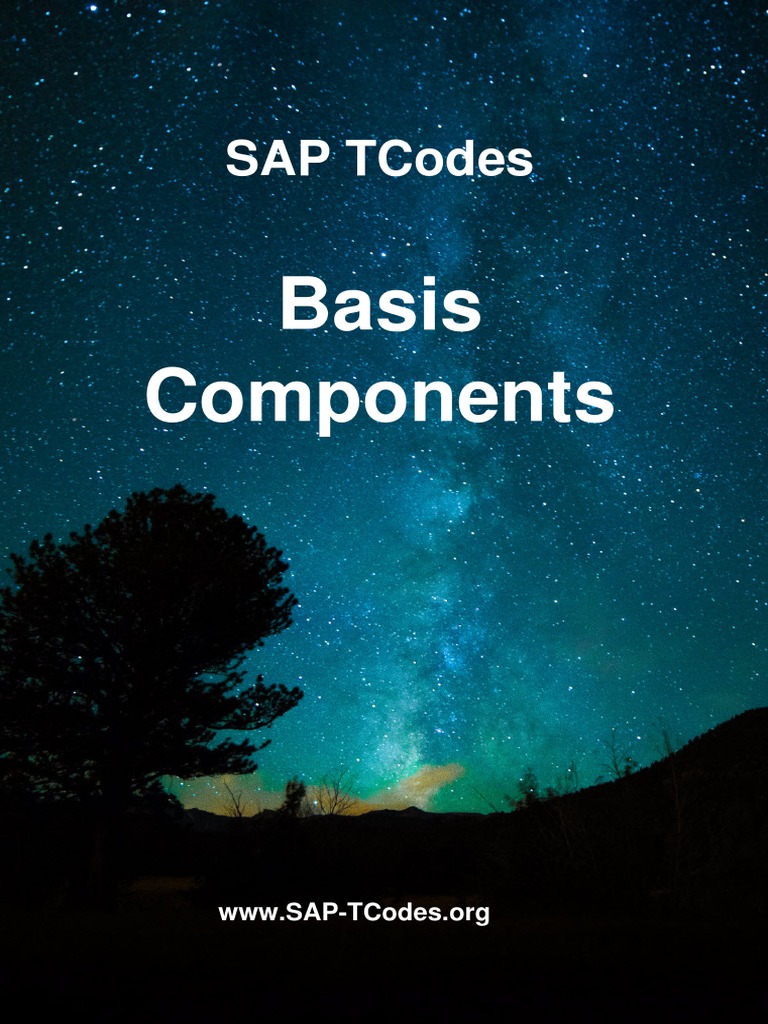 Sap Tcodes Module BC en | PDF | Sap Se | Information Technology