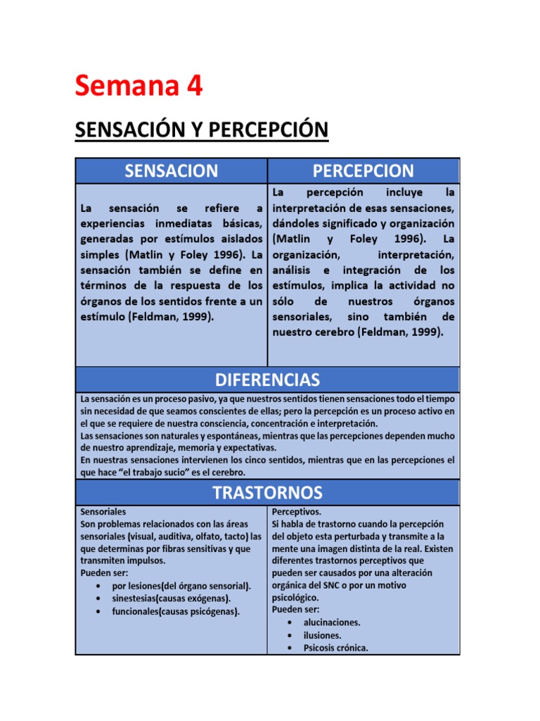 Sensacion y Percepcion | PDF | Percepción | Neurociencia