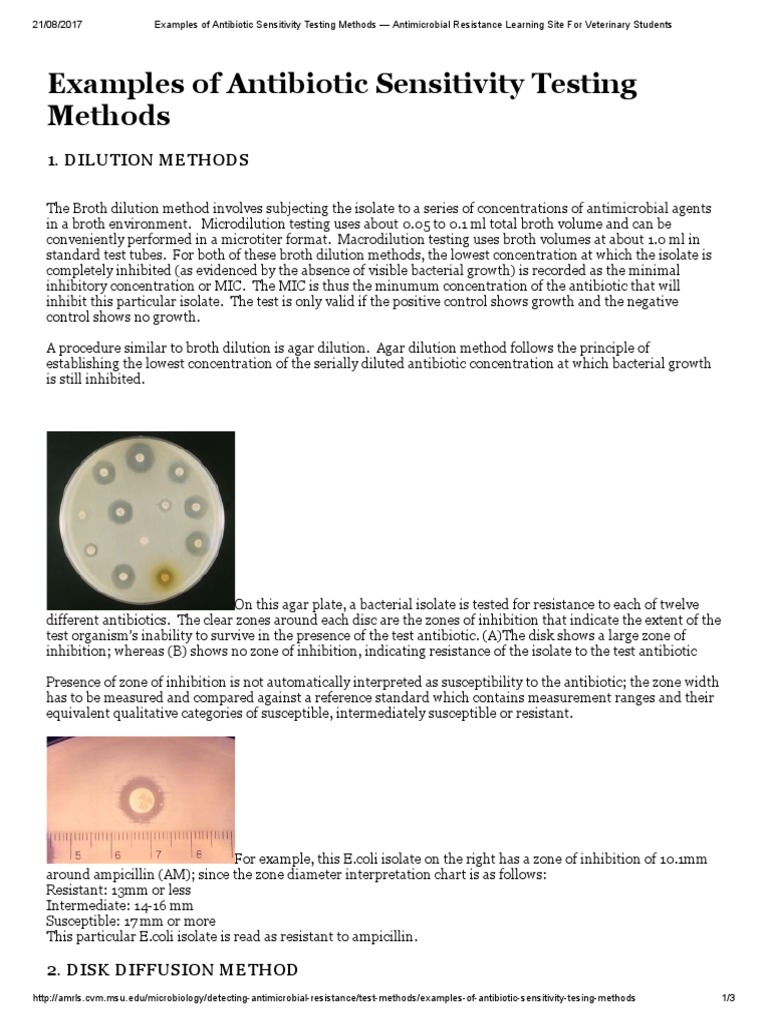 Examples of Antibiotic Sensitivity Testing Methods — Antimicrobial ...