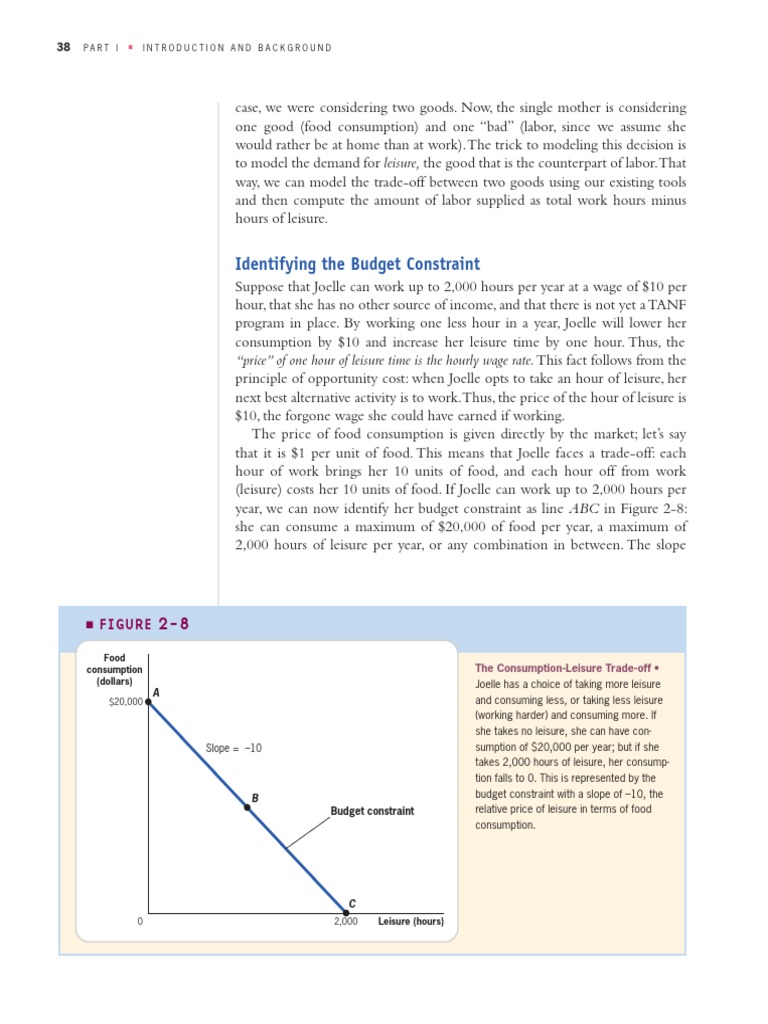 Identifying The Budget Constraint | PDF | Labour Economics | Microeconomics