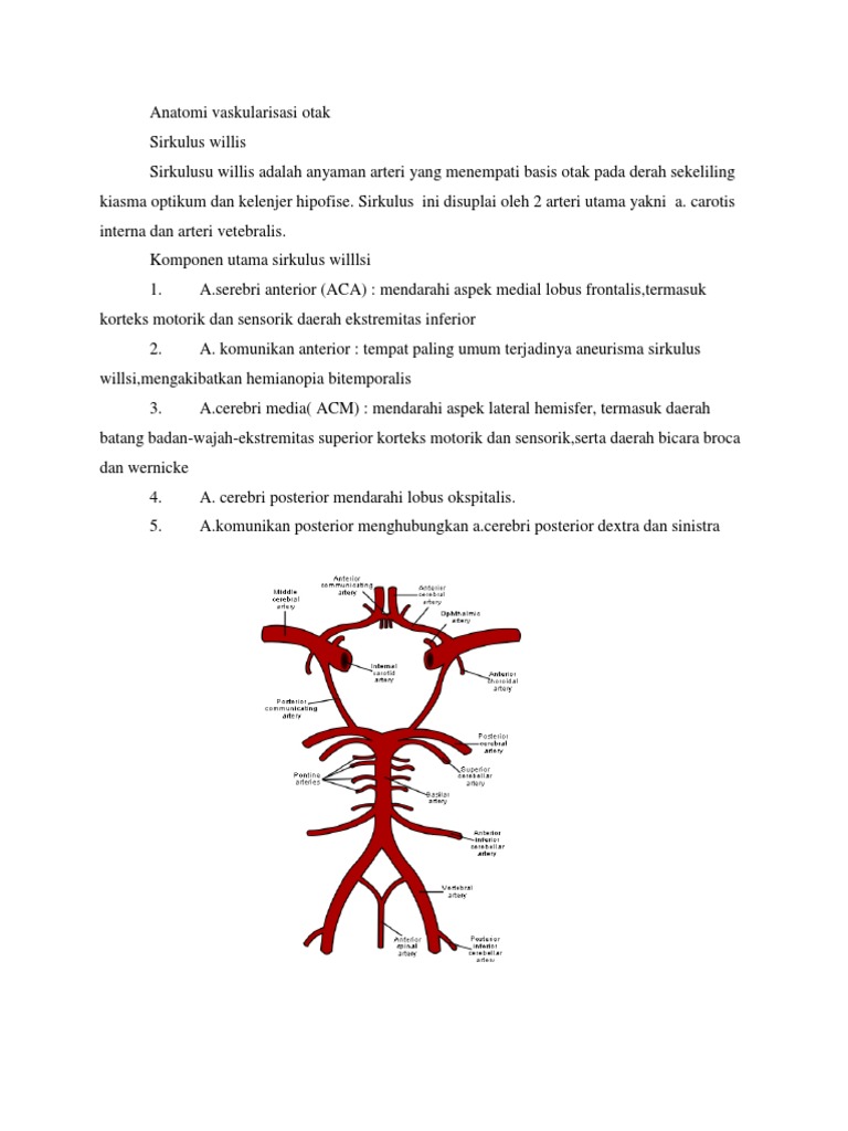 Anatomi Vaskularisasi Otak | PDF