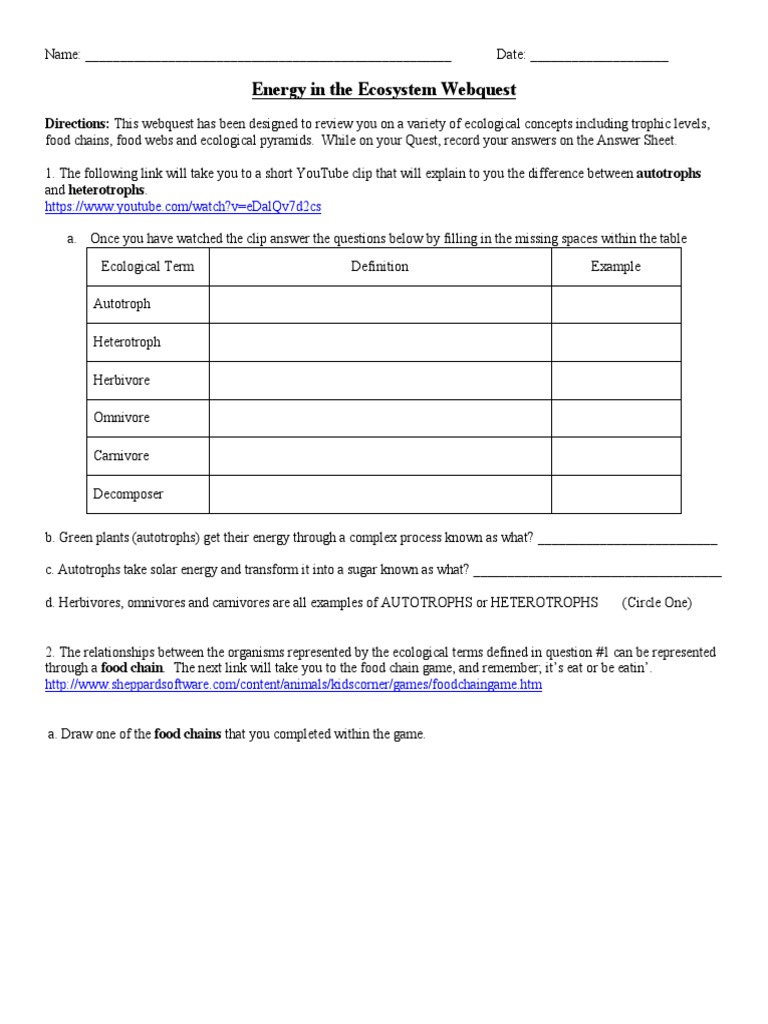 Energy in The Ecosystem Webquest | PDF | Food Web | Ecology