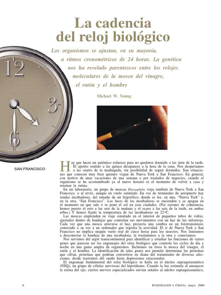 Reloj Biológico: Genes y Ritmos | PDF | Ritmo circadiano | Gene