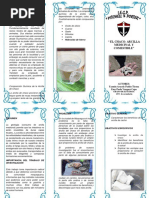 Dryopithecus | PDF | Hominidae | Homo Sapiens