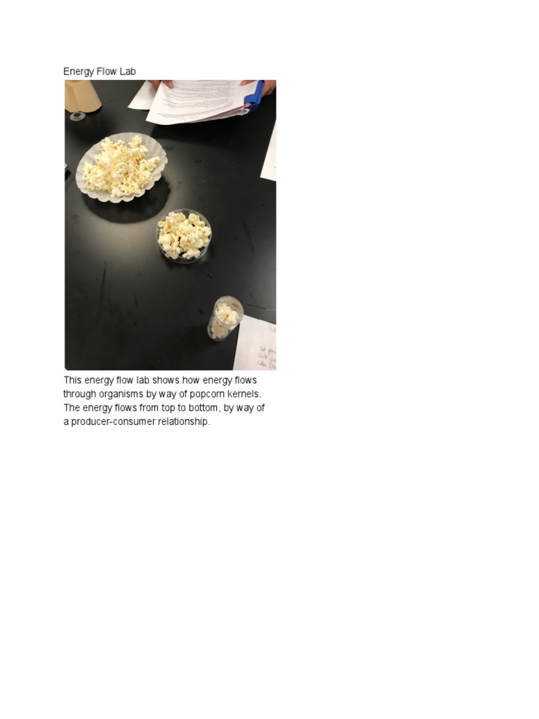 Energy Flow Lab 2 | PDF