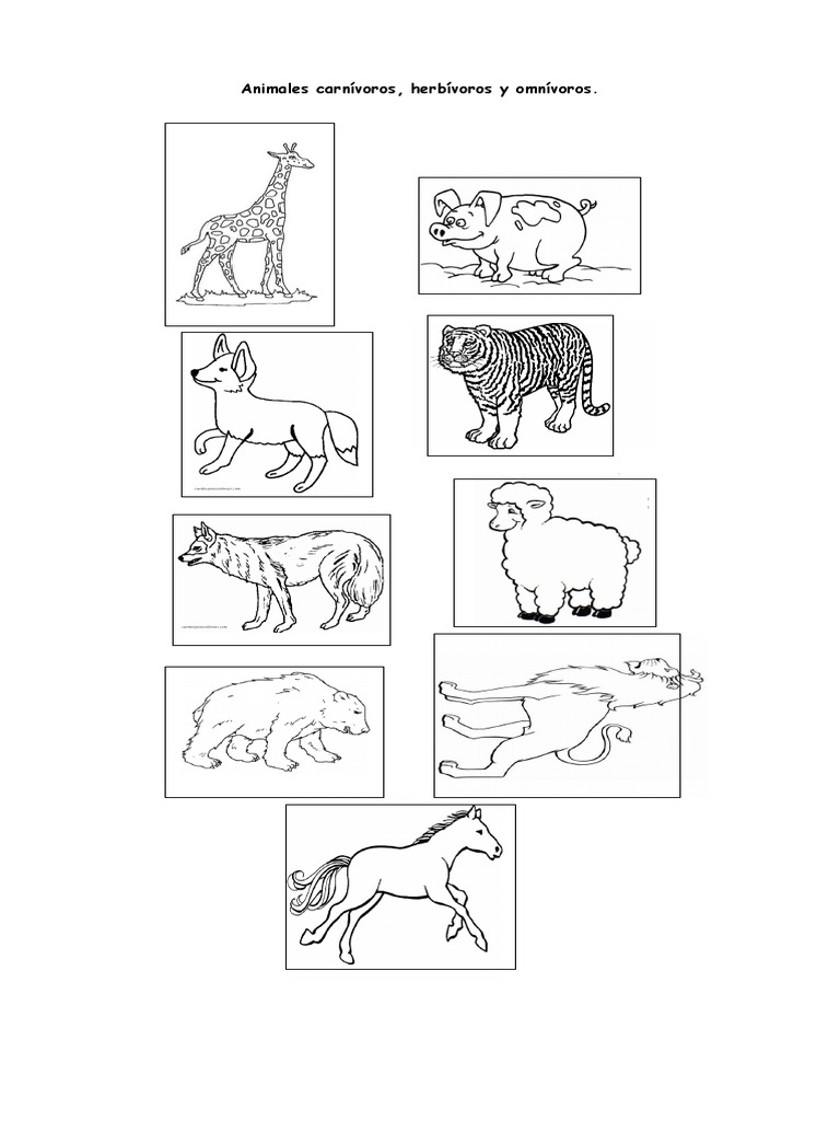 Animales Carnivoros | PDF