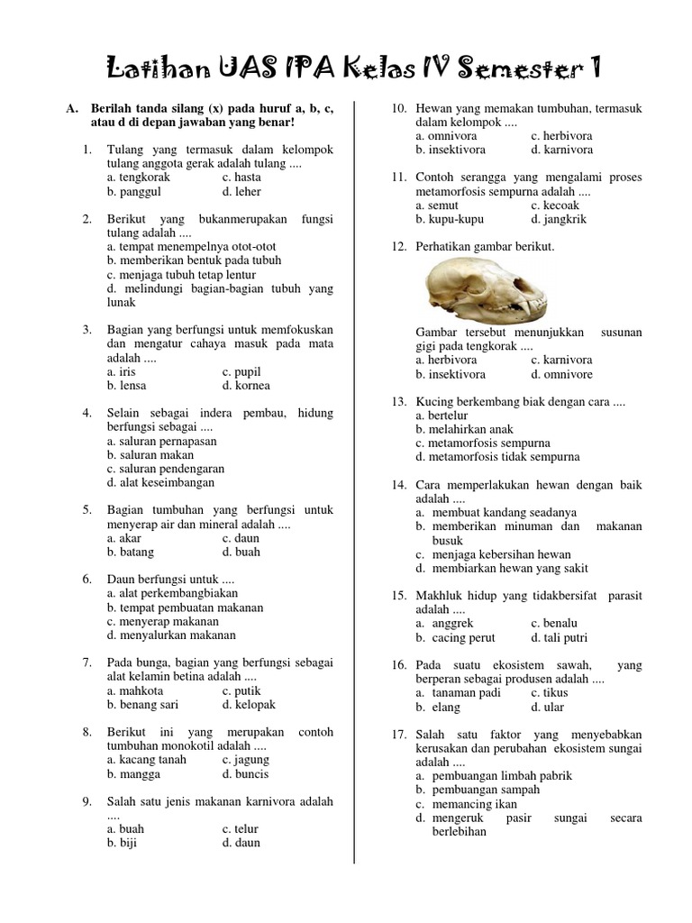 Soal Ipa 4 - Uas | PDF