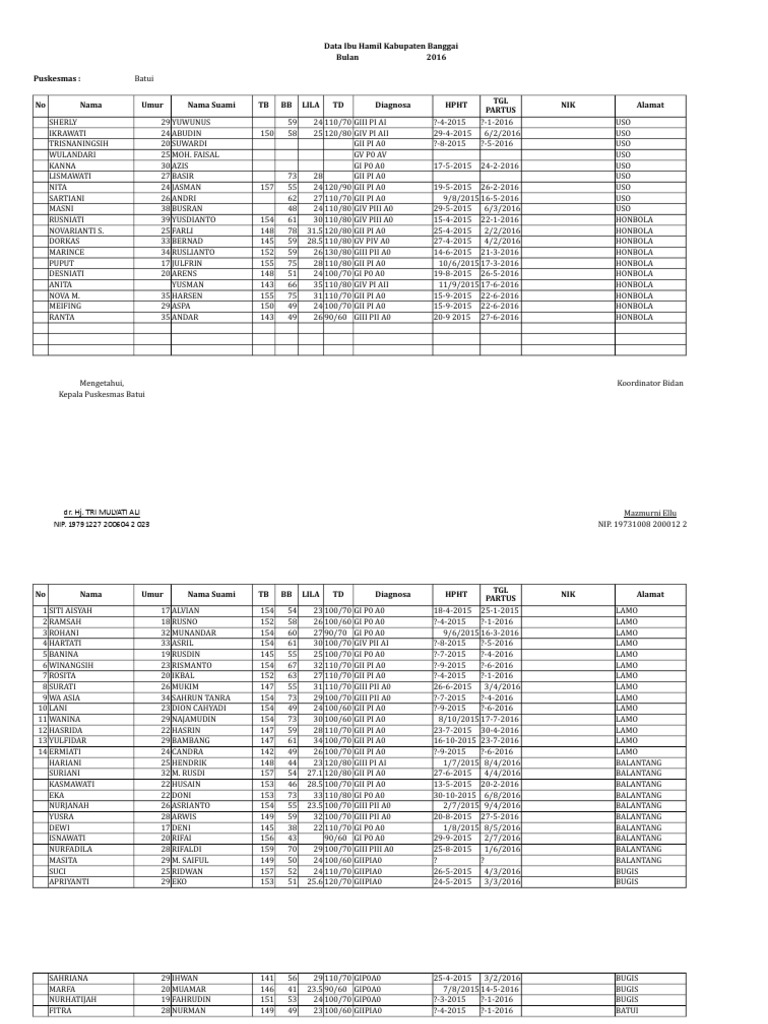 Data Ibu Hamil | PDF
