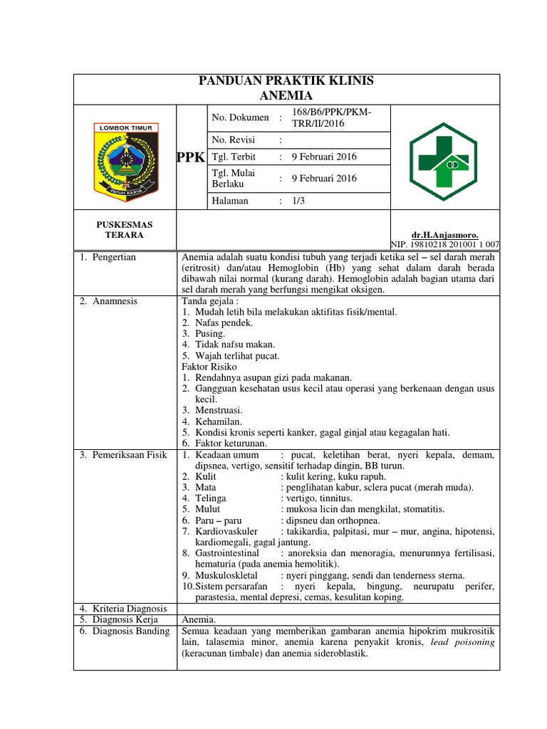 PPK Anemia Fix | PDF