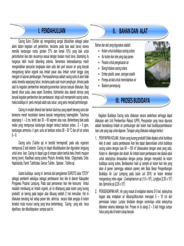 Budidaya Cacing Sutra PDF | PDF