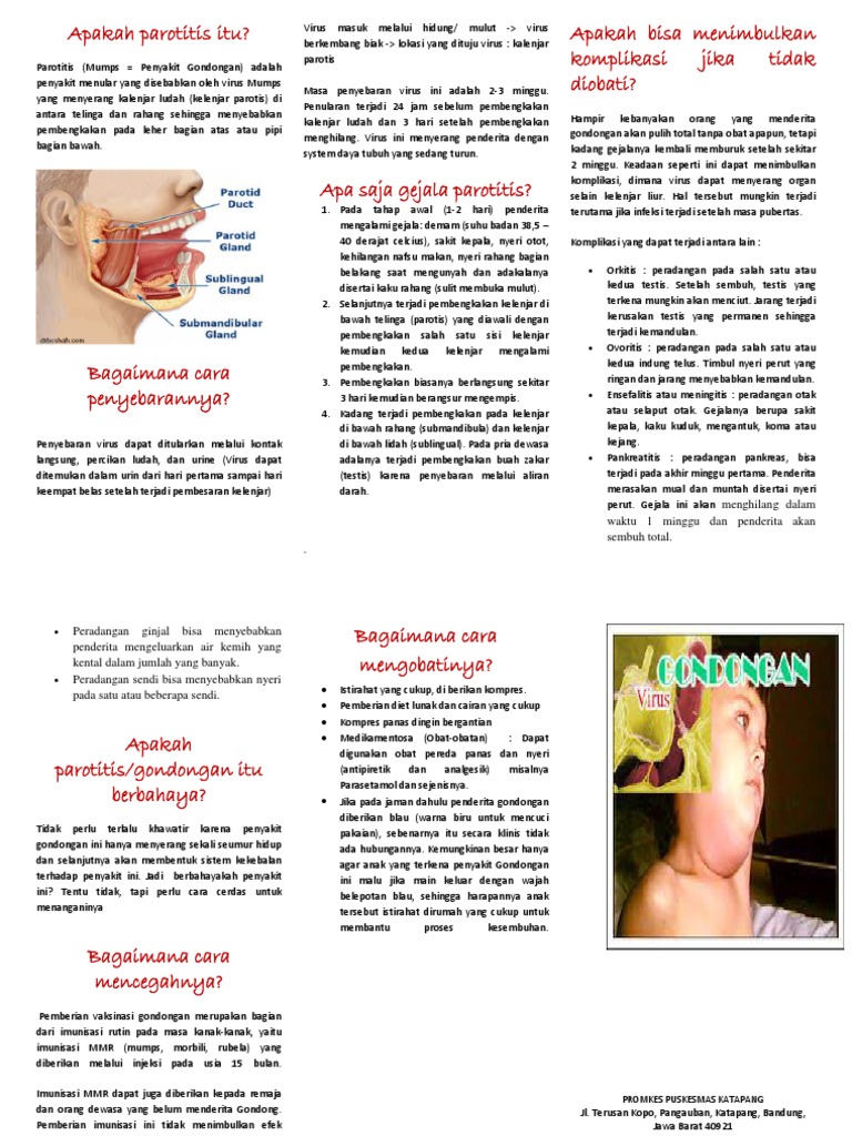 Leaflet Parotitis | PDF
