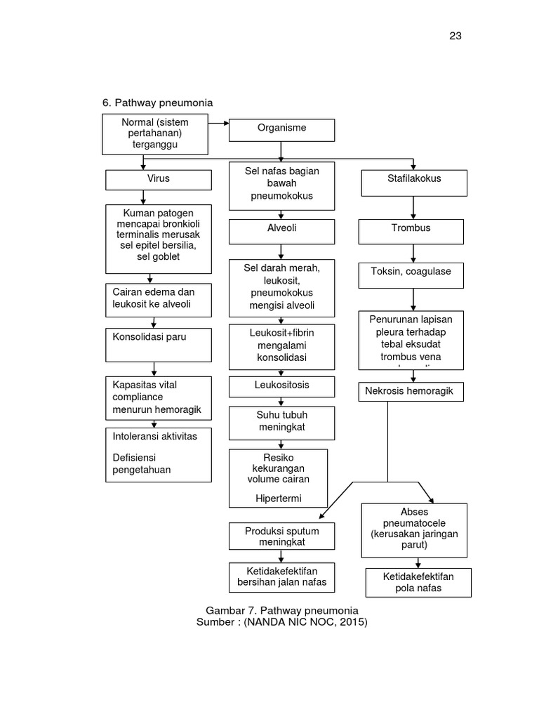 Pathway Pneumonia | PDF