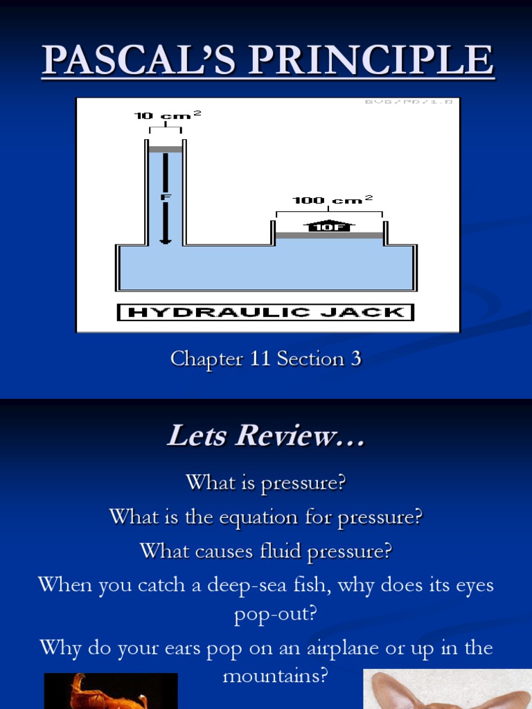 Pascal'S Principle: Chapter 11 Section 3 | PDF | Pressure | Chemical ...